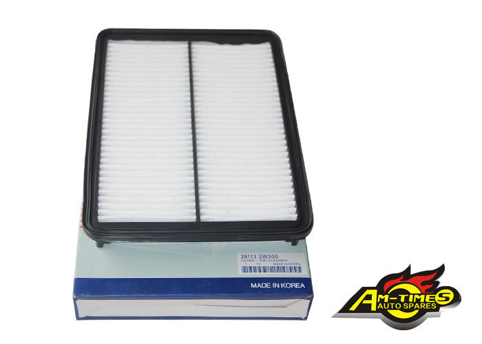 Genuine Hyundai Air Flow Filter 28113-2W300 281132W300 MANN C 29 019 ...